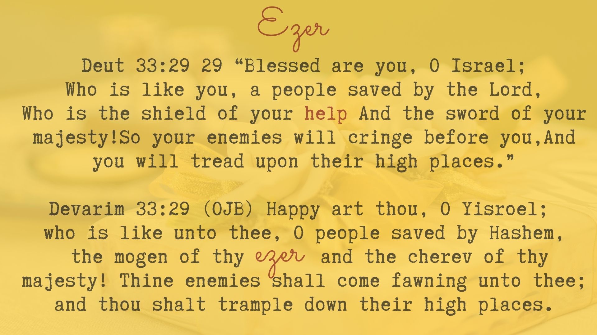 Daughters of Sarah – Praying W.I.F.E. Forum